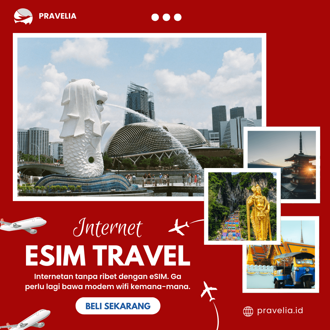 8 Aktivitas Penting untuk Daftar Impian Anda di Vietnam | Pravelia
